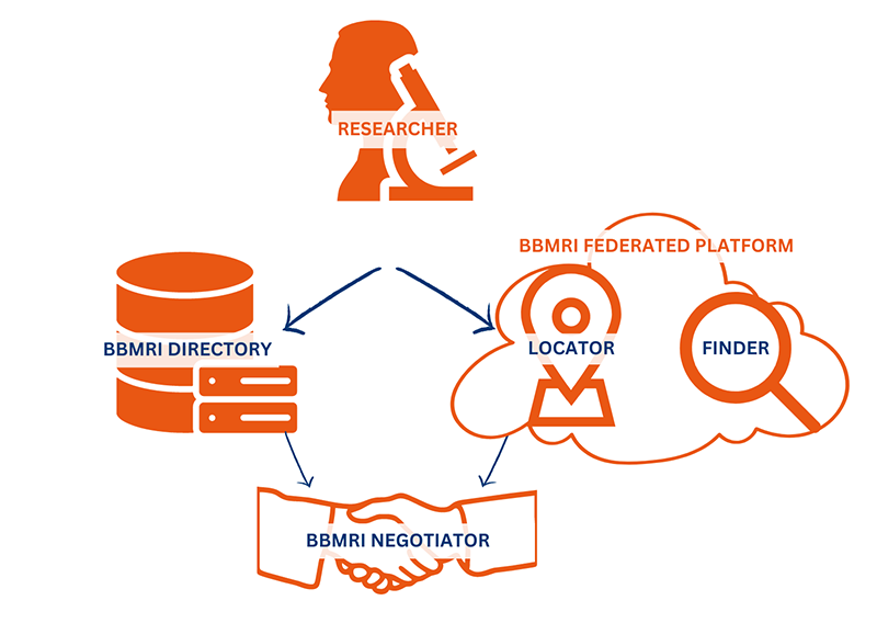 BBMRI-ERIC Sample and Data Portal - BBMRI-ERIC: Making New Treatments ...